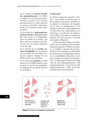 inmunohematologia-banco de sangre-básica y aplicada | PDF