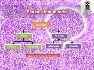 Inmunología: Respuesta inmune específica | PPTX