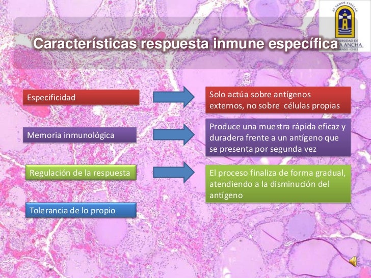 Inmunología: Respuesta inmune específica