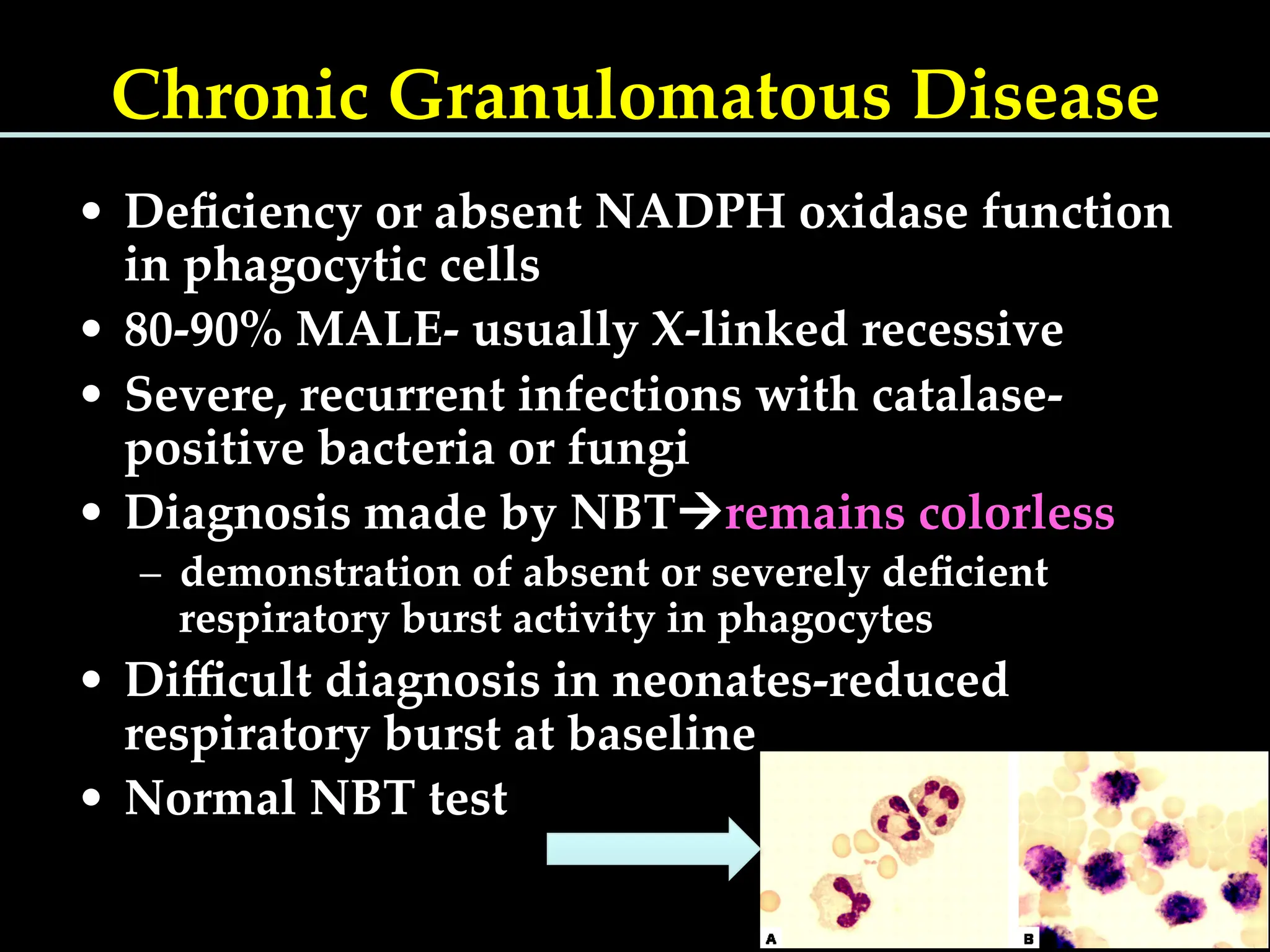 inmunologia .pdf pediatria y medicina interna | PDF