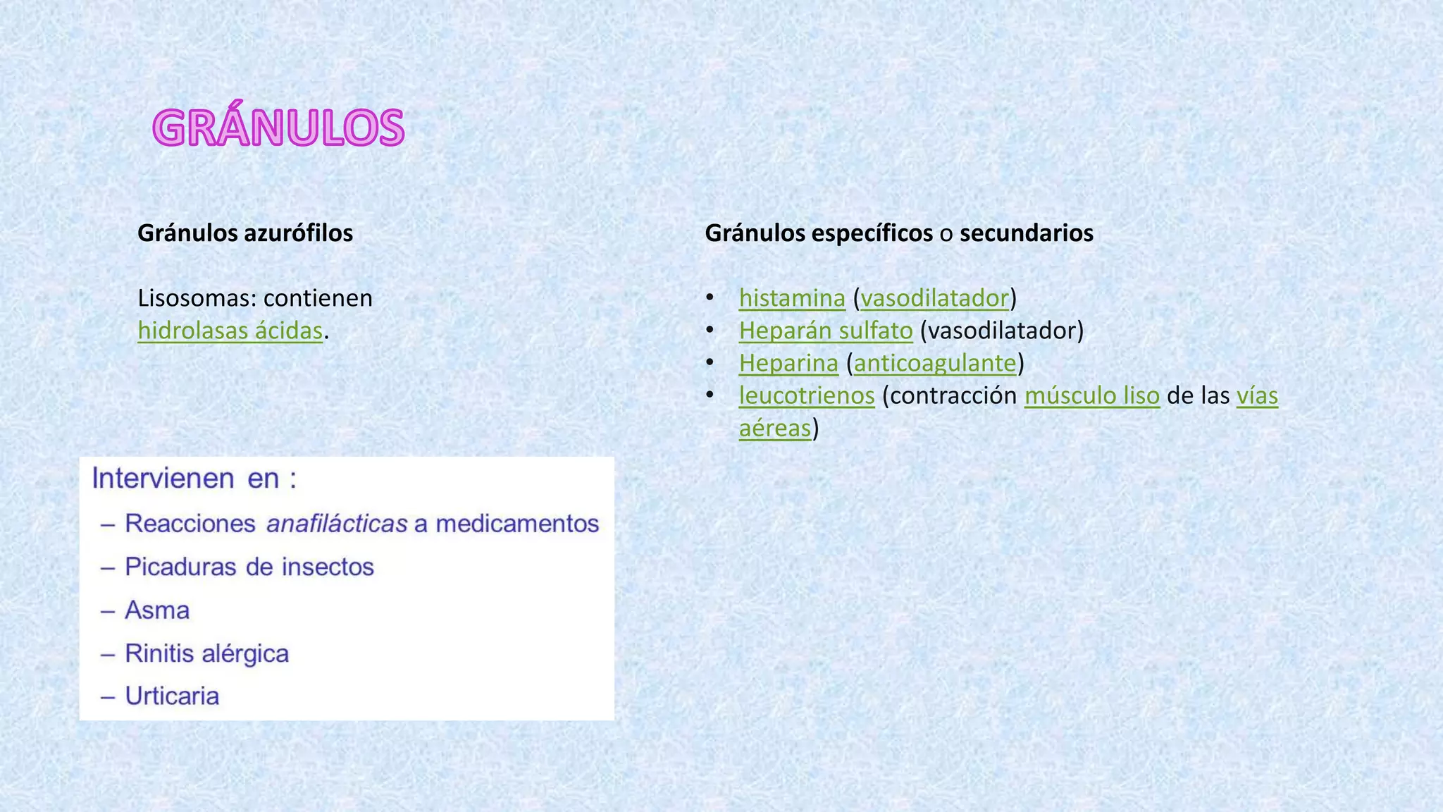 Inmunologia basofilo - neutrofilo- eosinofilo | PPT