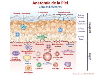 INMUNOLOGIA DE LA PIEL, CARACTERISTICAS ESPECIFICAS DE LA PIEL V01.1.pptx