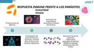Inmunología De Las Parasitosis Humanas Pptx