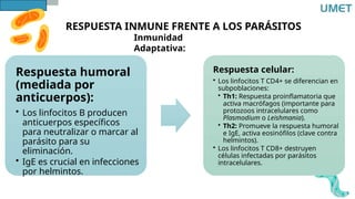 Inmunología De Las Parasitosis Humanas Pptx