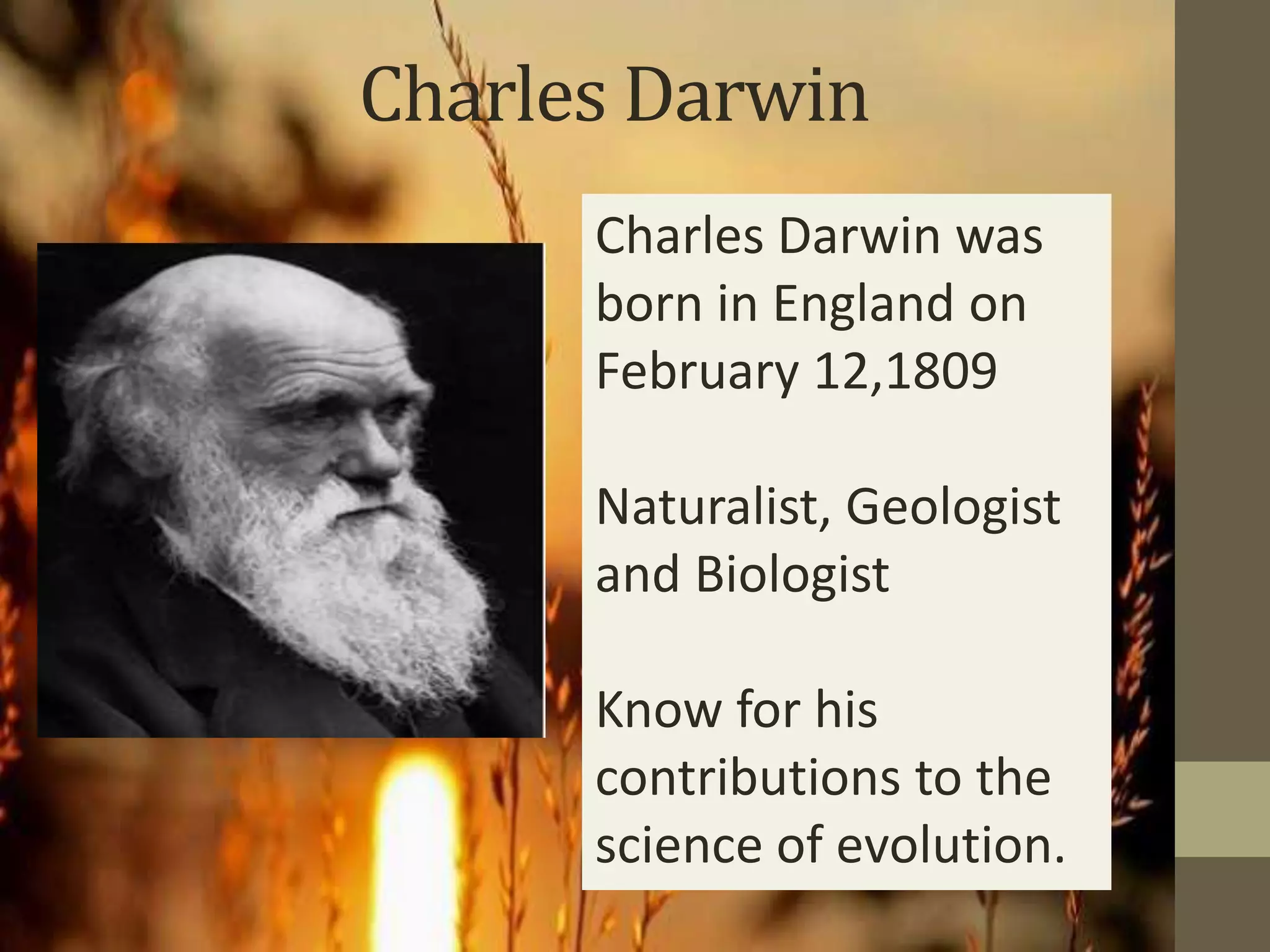 Innah intellectual-revolutions-that-defined-society (1) | PPTX