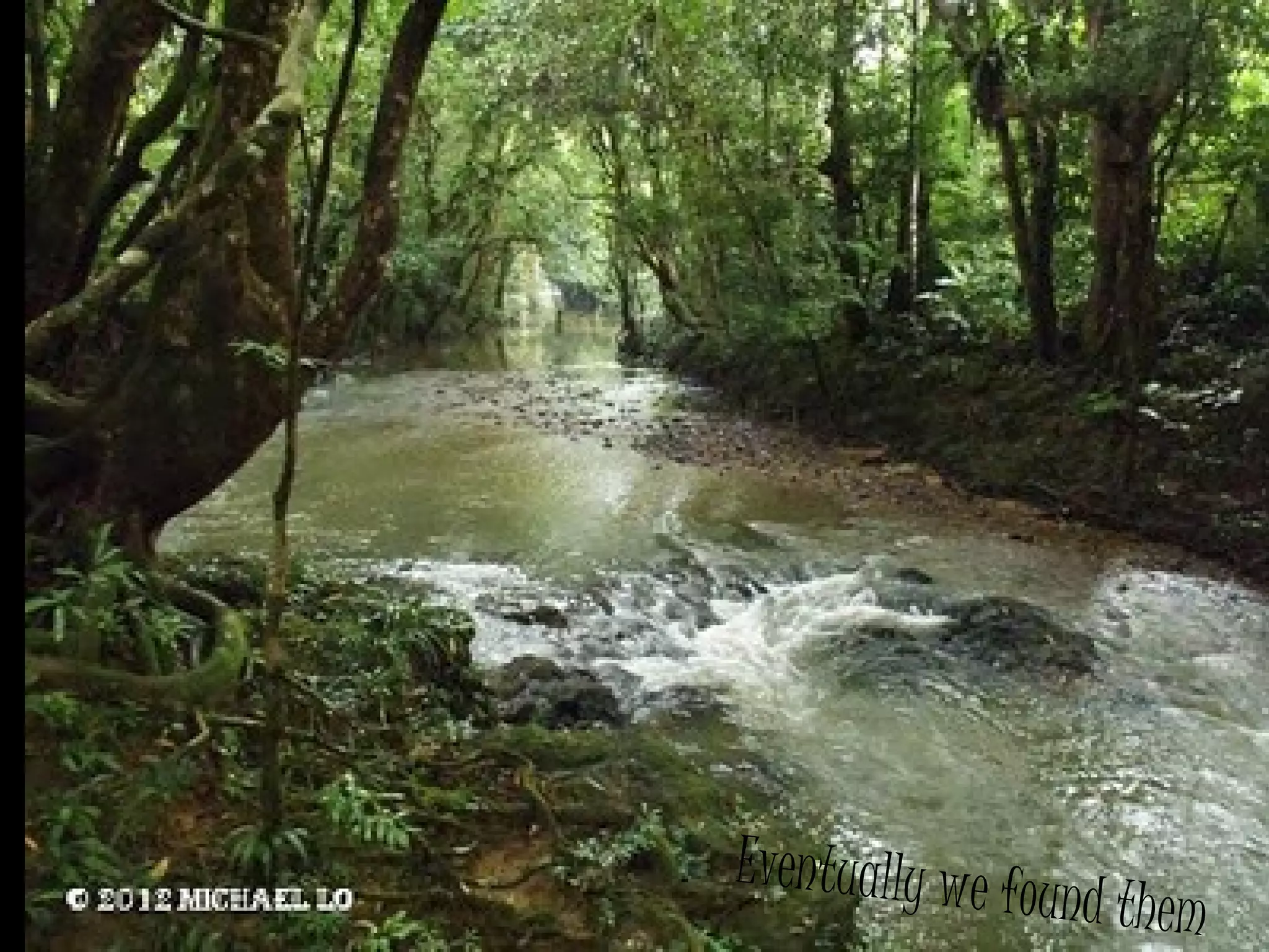 Innanimate Alice by Asha | PPT