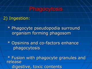 Innate immunity | PPT
