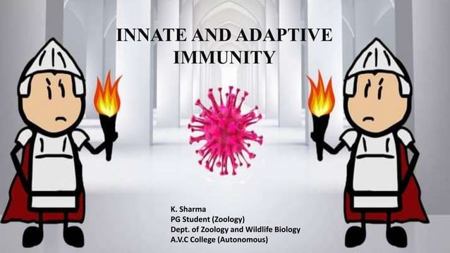 Innate & Adaptive Immunity | PPTX | Infectious Diseases | Diseases and ...