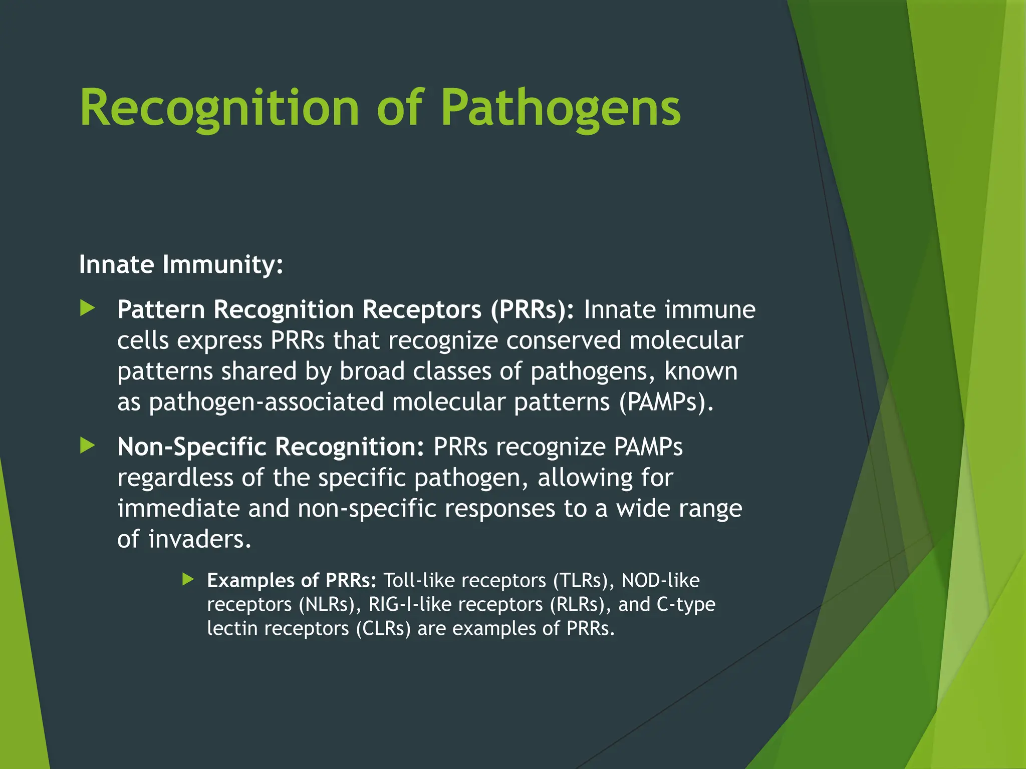 Immune system working, definition and its types of Innate and Acquire ...