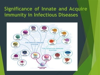Immune system working, definition and its types of Innate and Acquire ...