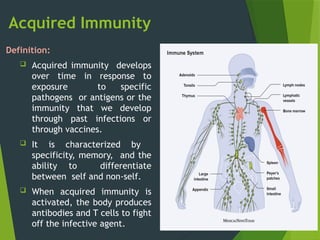 Immune system working, definition and its types of Innate and Acquire ...