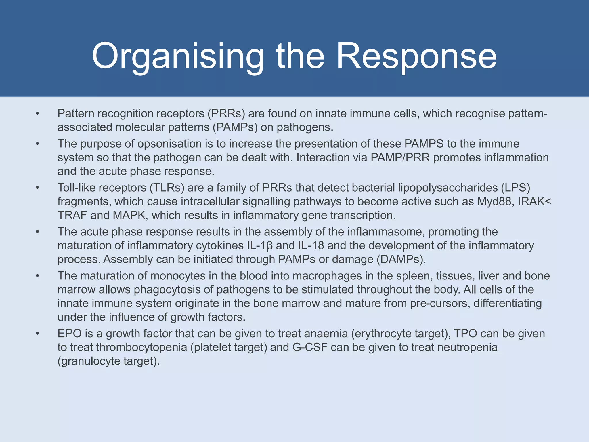Innate and adaptive immunity | PPTX