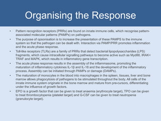 Innate and adaptive immunity | PPTX