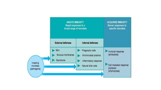 INNATE AND ADAPTIVE IMMUNITY.pptx