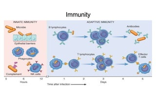 INNATE AND ADAPTIVE IMMUNITY.pptx
