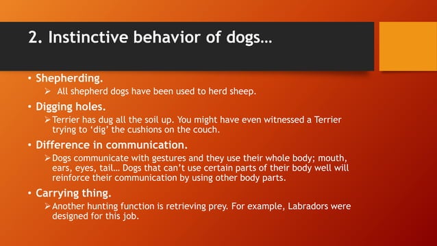 Innate and instinctive behavior of dogs | PPT