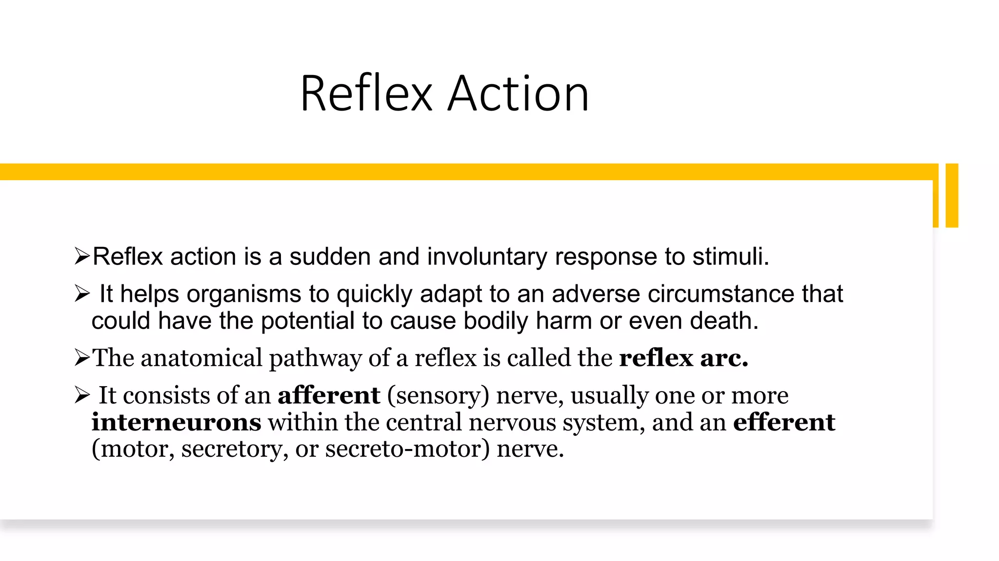 Innate and learned behavior | PDF