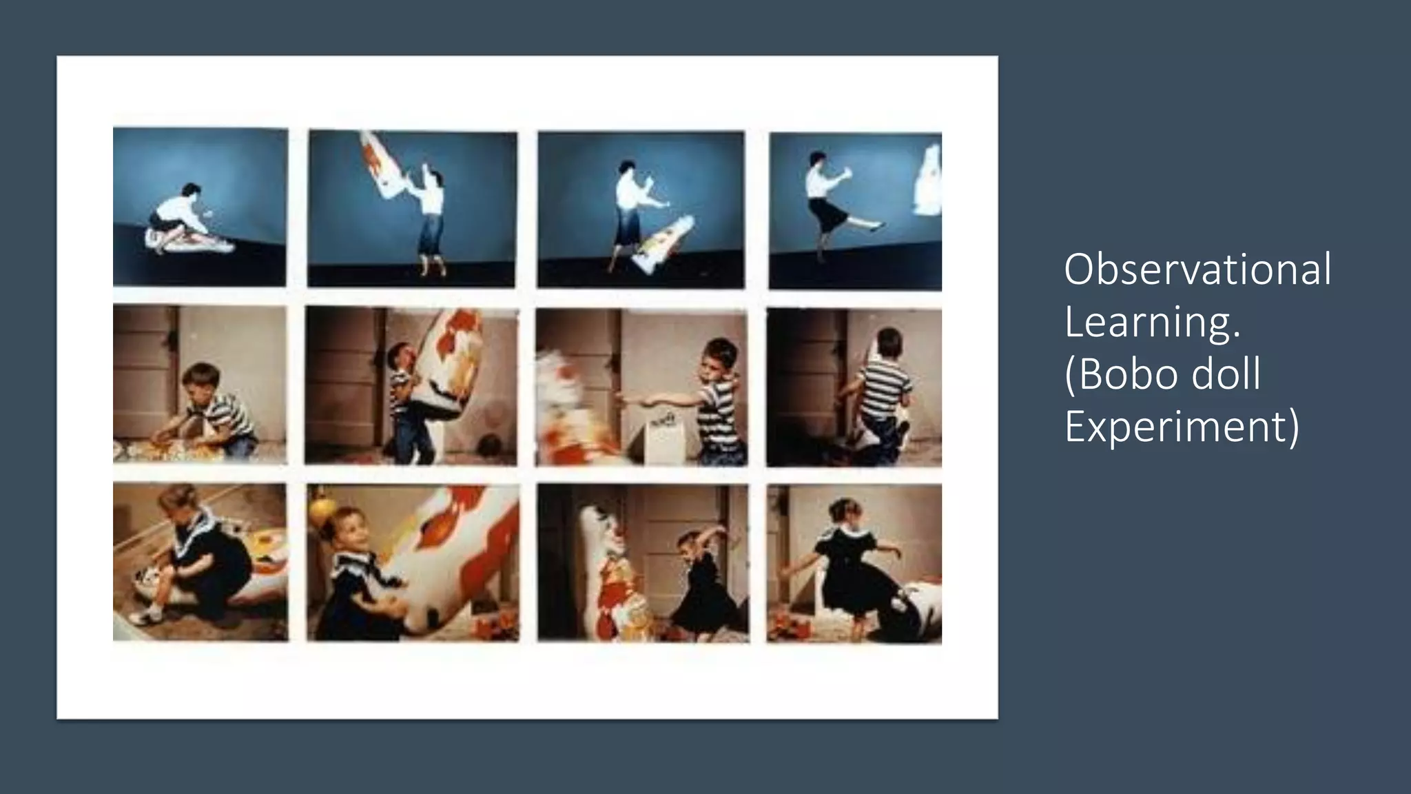 Innate and learned behavior | PPT