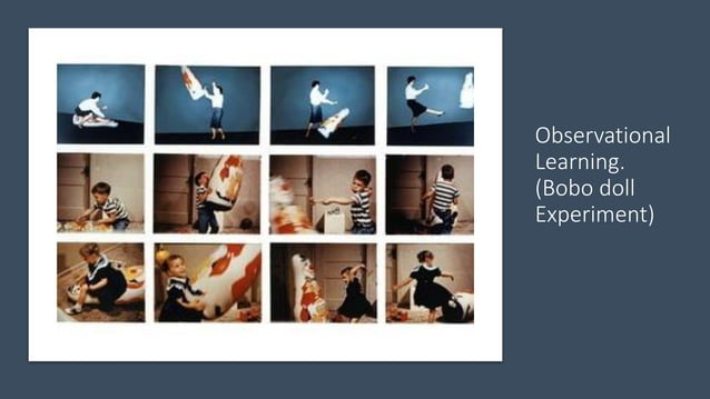 Innate and learned behavior | PDF | Science