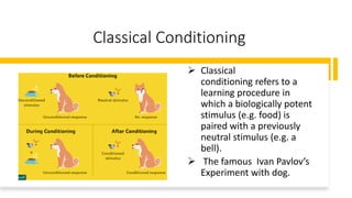 Innate and learned behavior | PDF