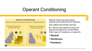 Innate and learned behavior | PDF