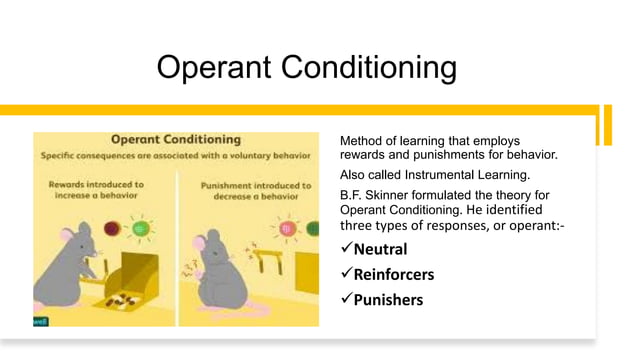 Innate and learned behavior | PDF | Science