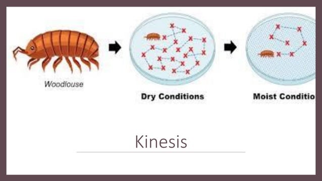 Innate and learned behavior | PDF | Science