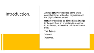 Instinct Vs Learned Behavior Lesson