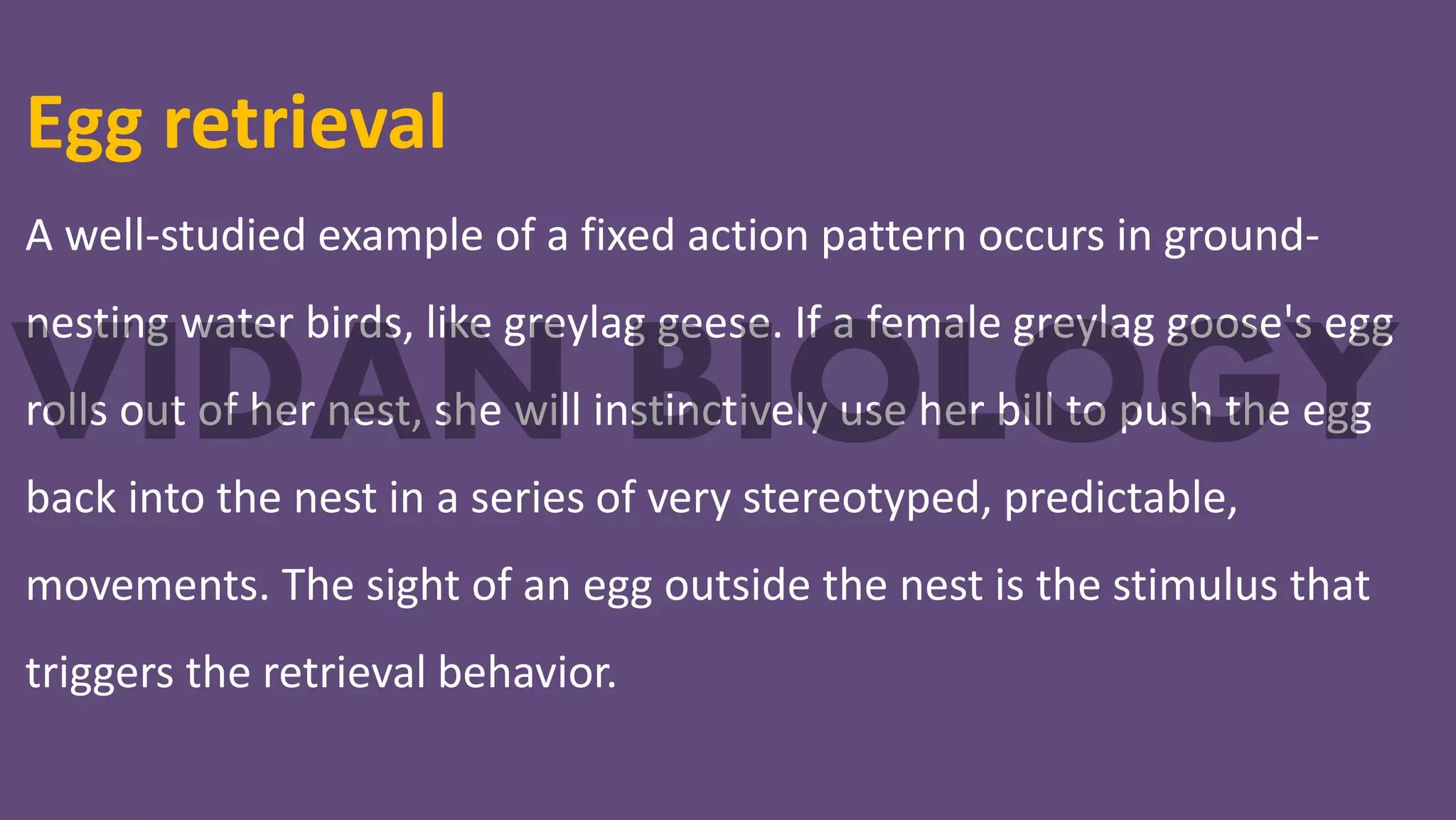 Innate Behavior (Animal Behavior) Taxis, Fixed Action Pattern, reflex ...