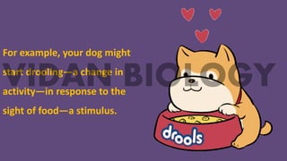 Innate Behavior (Animal Behavior) Taxis, Fixed Action Pattern, reflex ...