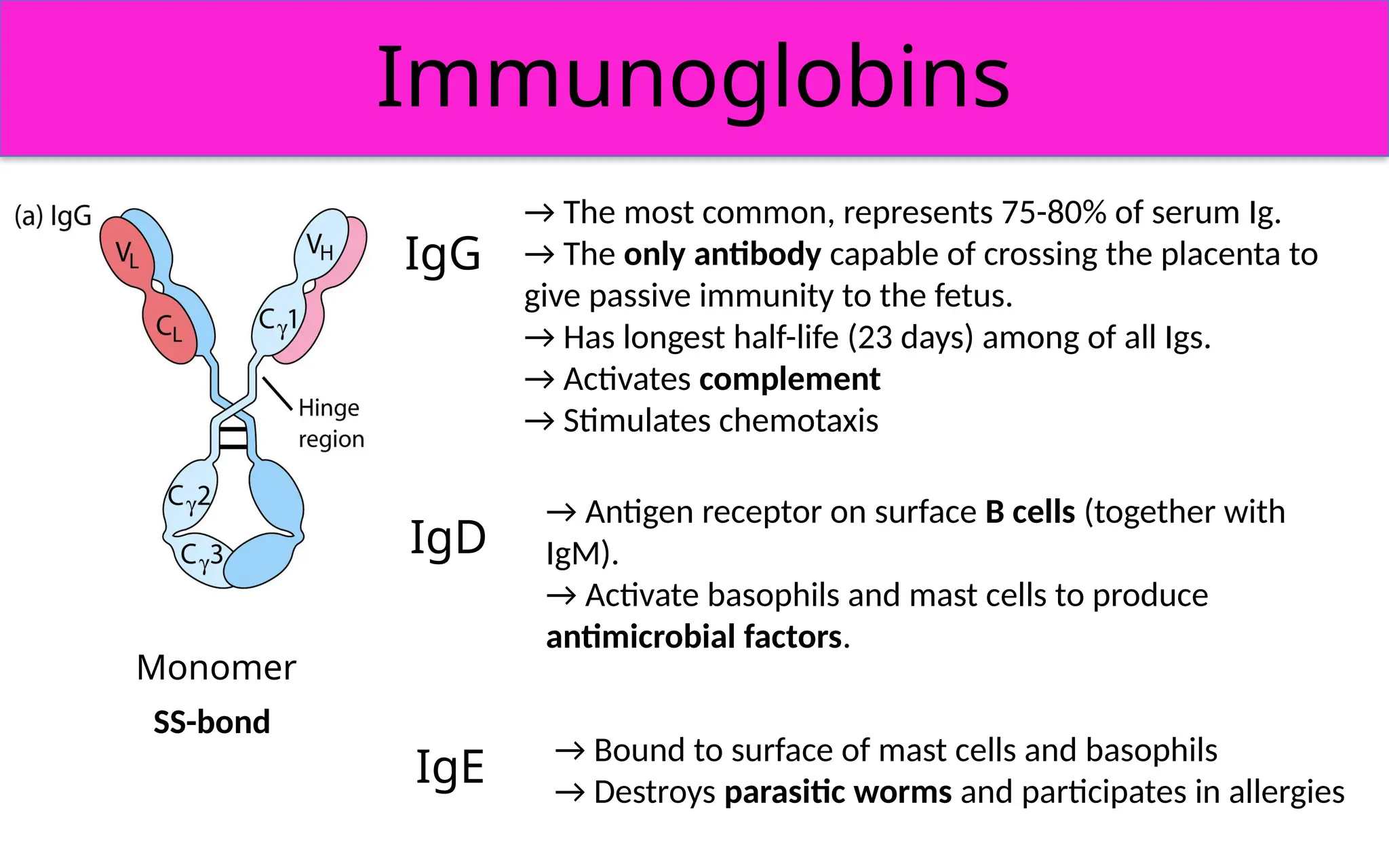 Innate, humoral and adaptive immunity.pptx