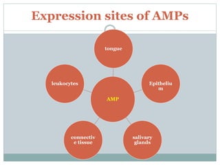 Innate immune response | PPTX