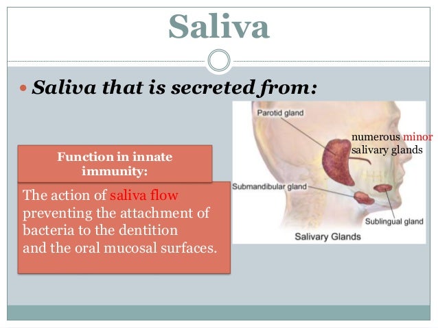 Innate immune response