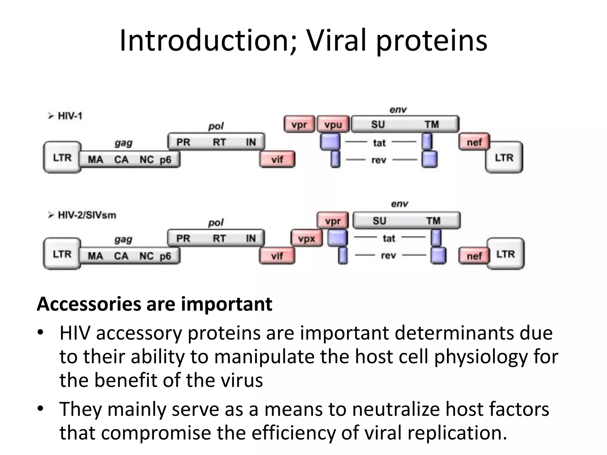 Innate immune restriction factors to Retroviruses final2.ppt