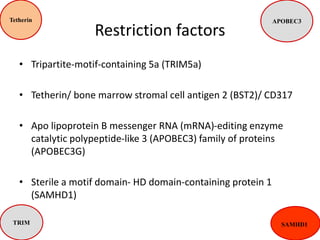 Innate immune restriction factors to Retroviruses final2.ppt