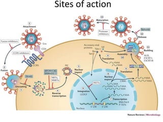 Innate immune restriction factors to Retroviruses final2.ppt