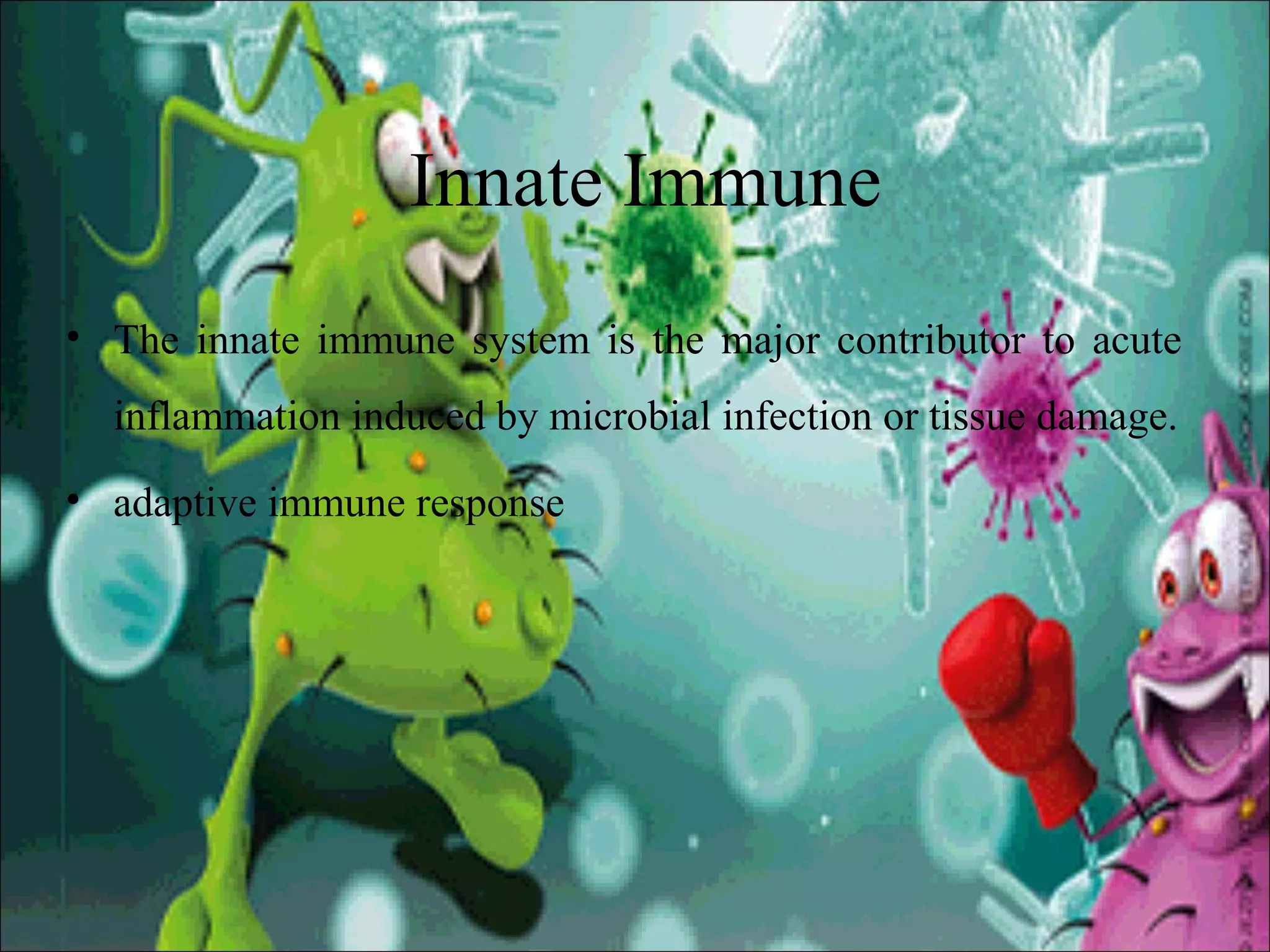 Innate immune system recognition receptors & inflammasomes activation | PPT