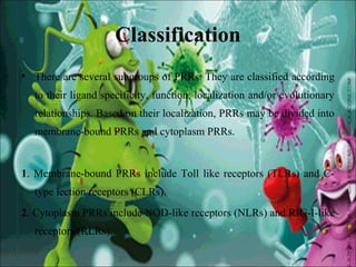Innate immune system recognition receptors & inflammasomes activation | PPT