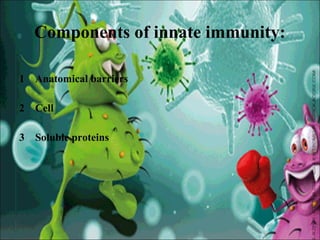 Innate immune system recognition receptors & inflammasomes activation ...