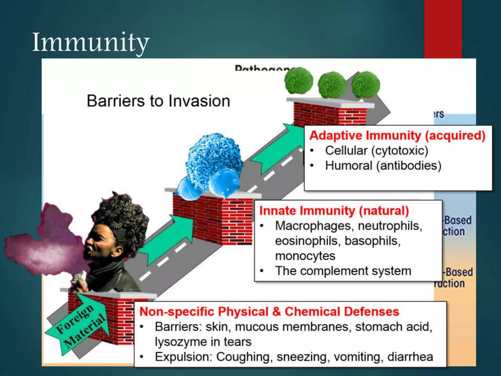 Innate immunity | PPTX