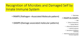 Innate immunity | PPTX