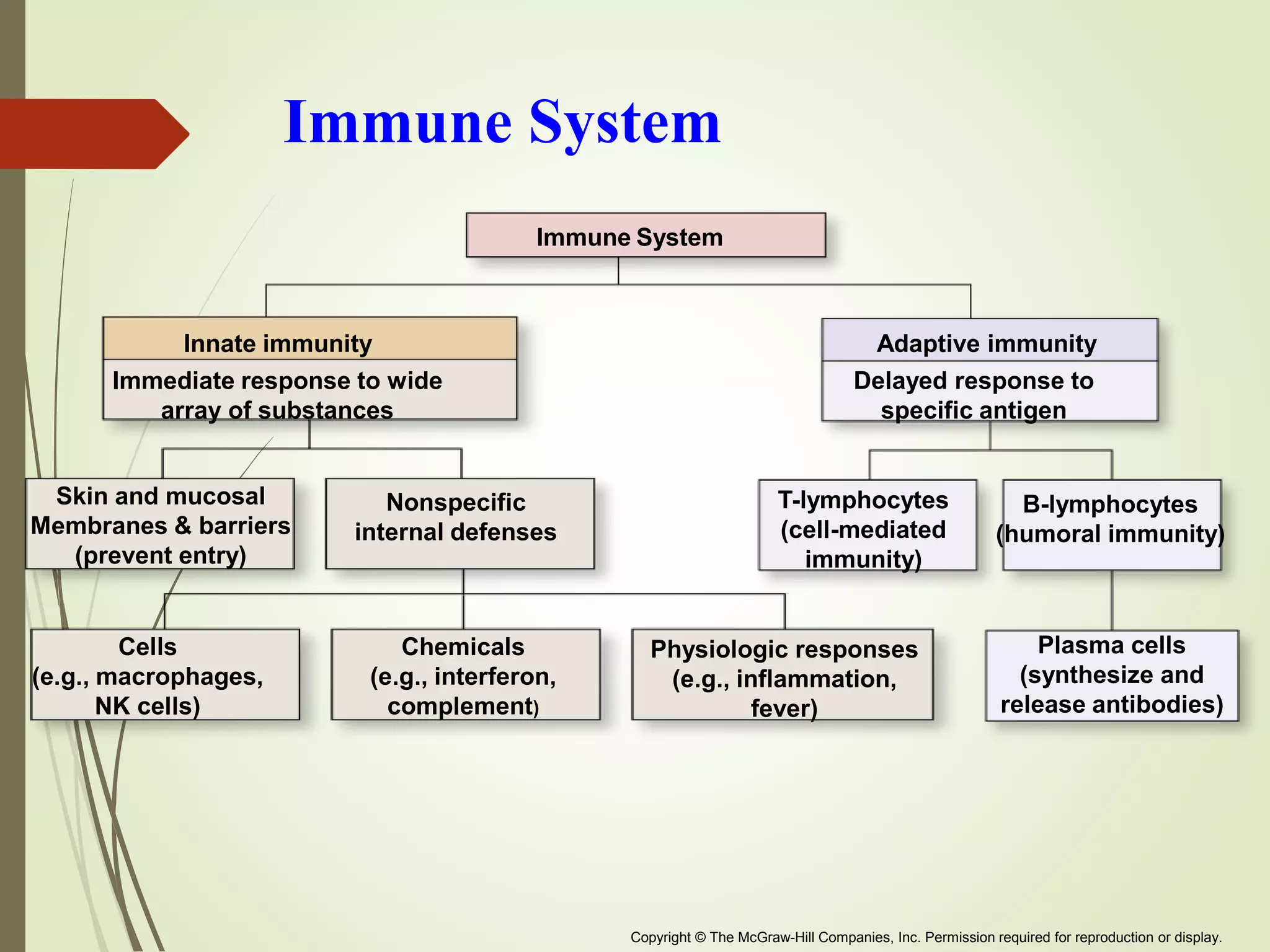 Innate immunity | PPTX