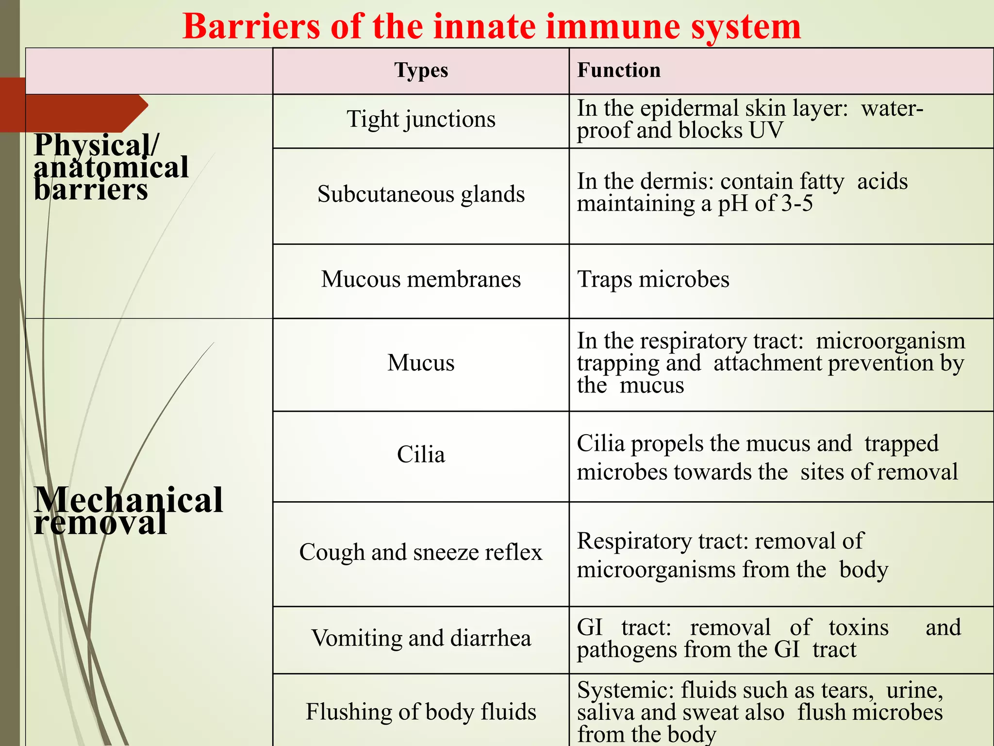 Innate immunity | PPTX