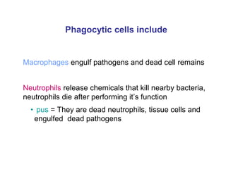 innate immunity.pptx