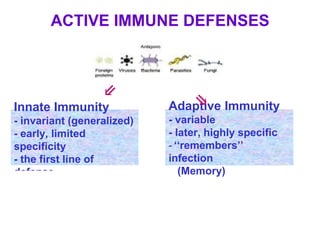 innate immunity.pptx
