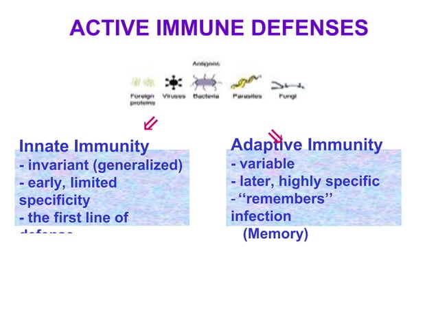 innate immunity.pptx