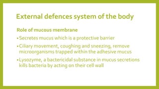 INNATE IMMUNITY cvxf,,gggghhgghwwrtt.pdf