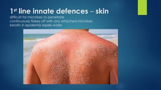 Innate immunity. is about realising it's significant characteristics | PPT