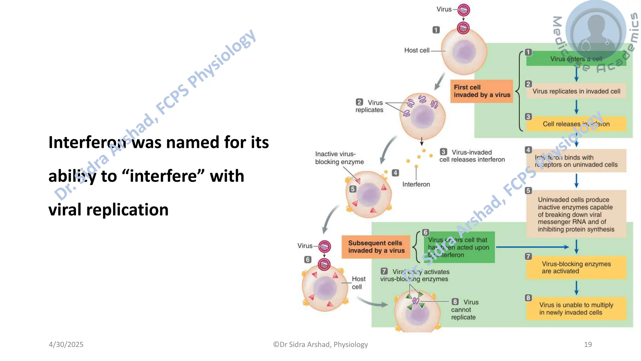 Physiology of Defense System - The Innate Immunity | PDF