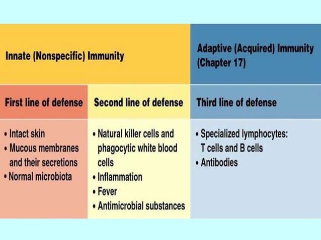 Innateimmunity nonspecificdefensesofthehost-final-150330233237 ...